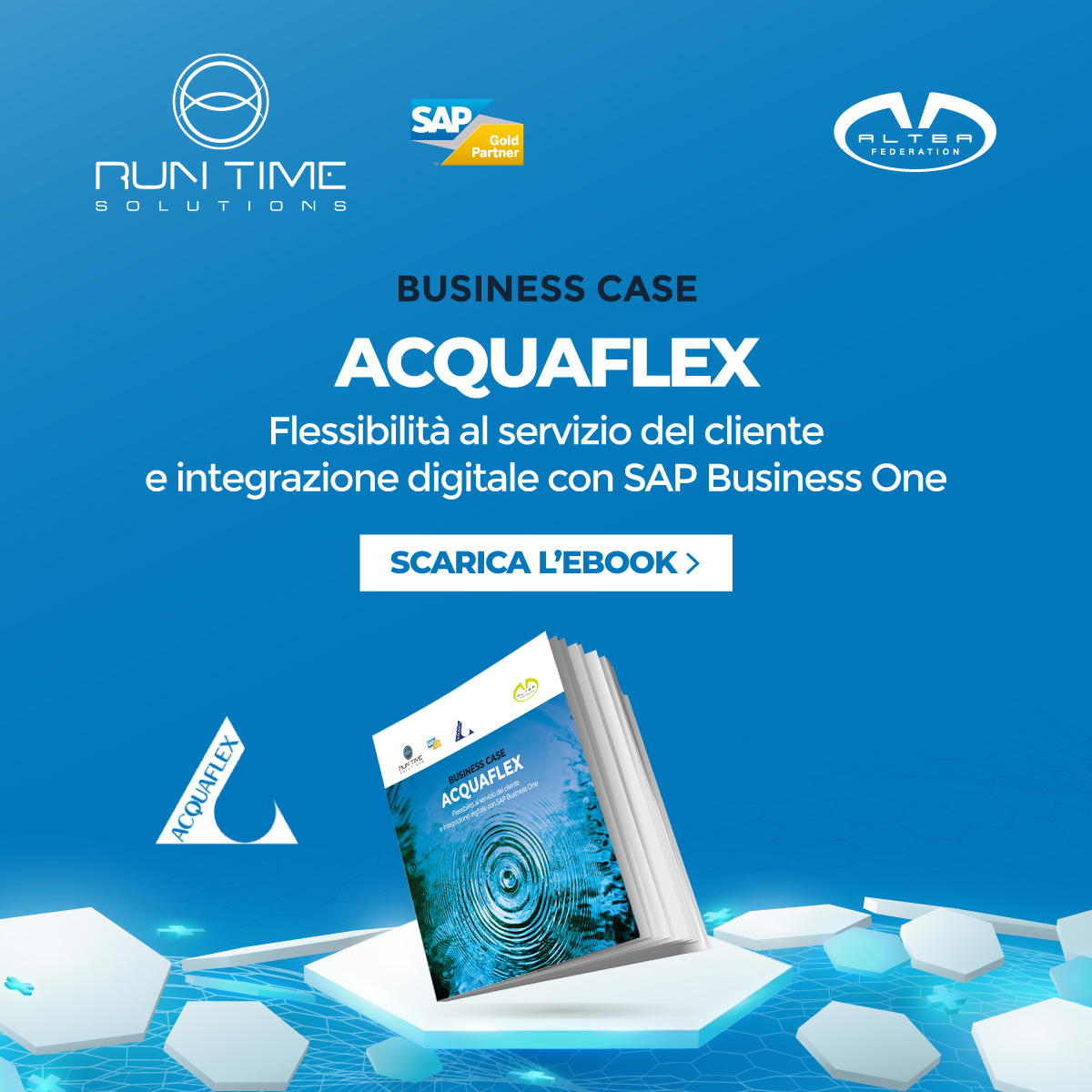 ACQUAFLEX Case Study - Run Time Solutions